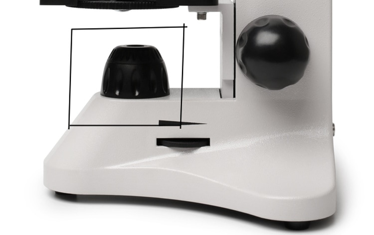 11 Parts of a Compound Microscope (With Pictures) - Optics Mag