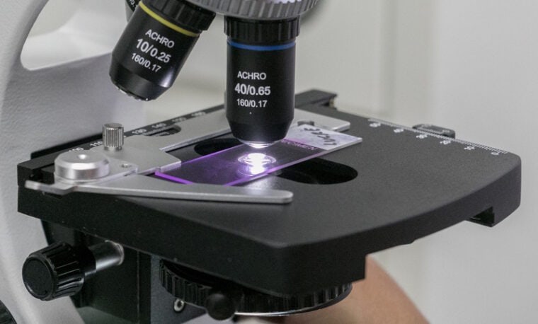 11 Parts of a Compound Microscope (With Pictures) - Optics Mag