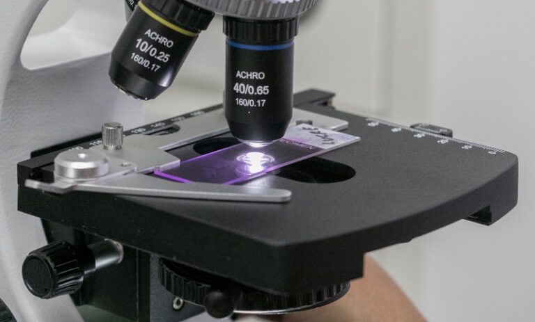 11 Parts of a Compound Microscope (With Pictures) - Optics Mag