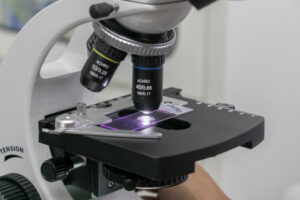 How Much Are Microscopes? What Do They Cost in 2024? - Optics Mag