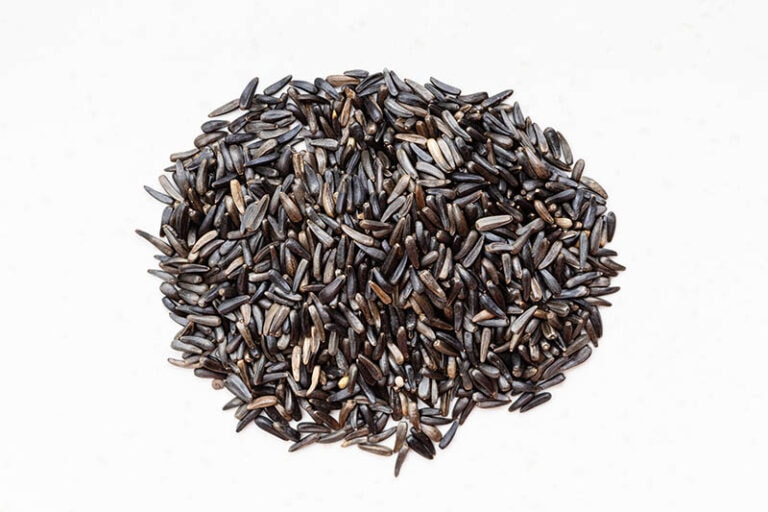 What Does a Titmouse Eat? 10 Common Foods - Optics Mag