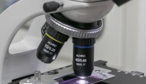 11 Parts of a Compound Microscope (With Pictures) - Optics Mag