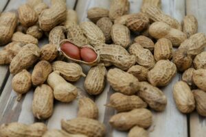 What Does a Titmouse Eat? 10 Common Foods - Optics Mag