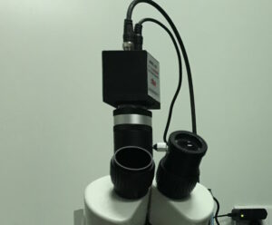 11 Parts of a Compound Microscope (With Pictures) - Optics Mag
