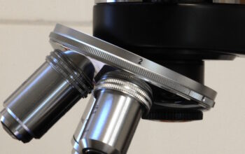 11 Parts of a Compound Microscope (With Pictures) - Optics Mag
