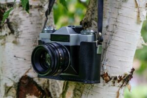 What Does SLR Mean? Pros, Cons, & Differences - Optics Mag