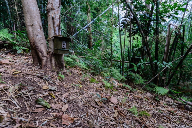 What Are Trail Cameras & How Do They Work? - Optics Mag