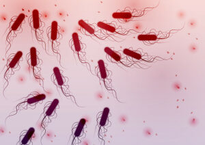 What Does E. Coli Look Like Under a Microscope? (With Pictures ...