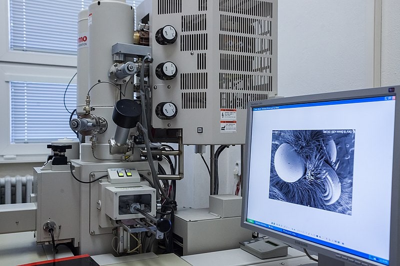 What Is a Scanning Electron Microscope (SEM)? Pros, Cons & FAQs - Optics Mag