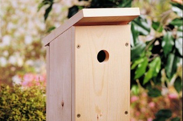 8 DIY Large Bird House Plans You Can Make Today (With Pictures ...