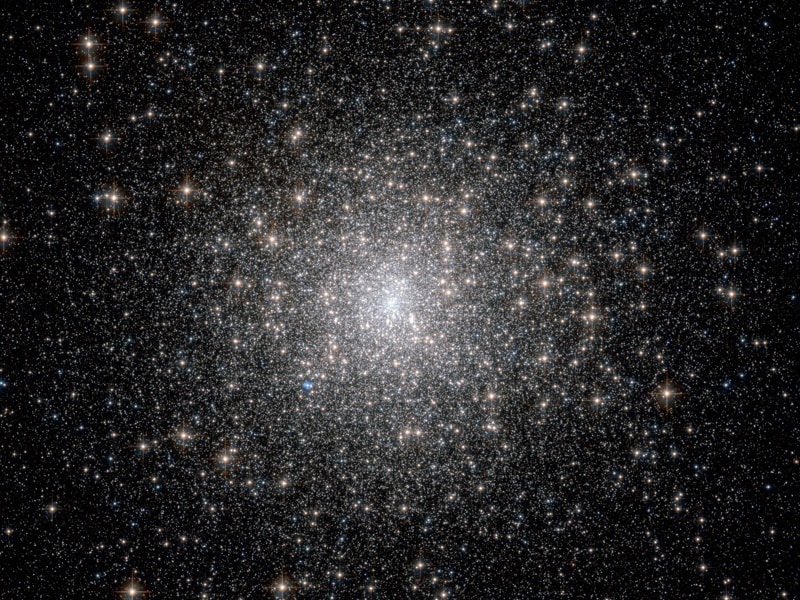 15 Interesting Pegasus Constellation Facts, Myths, and FAQs - Optics Mag