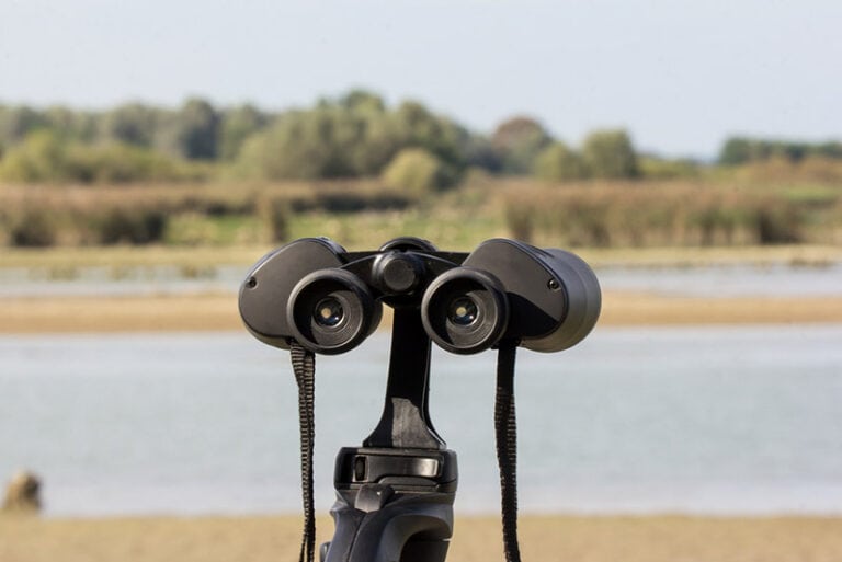 How to Collimate Binoculars: 9 Expert Tips - Optics Mag